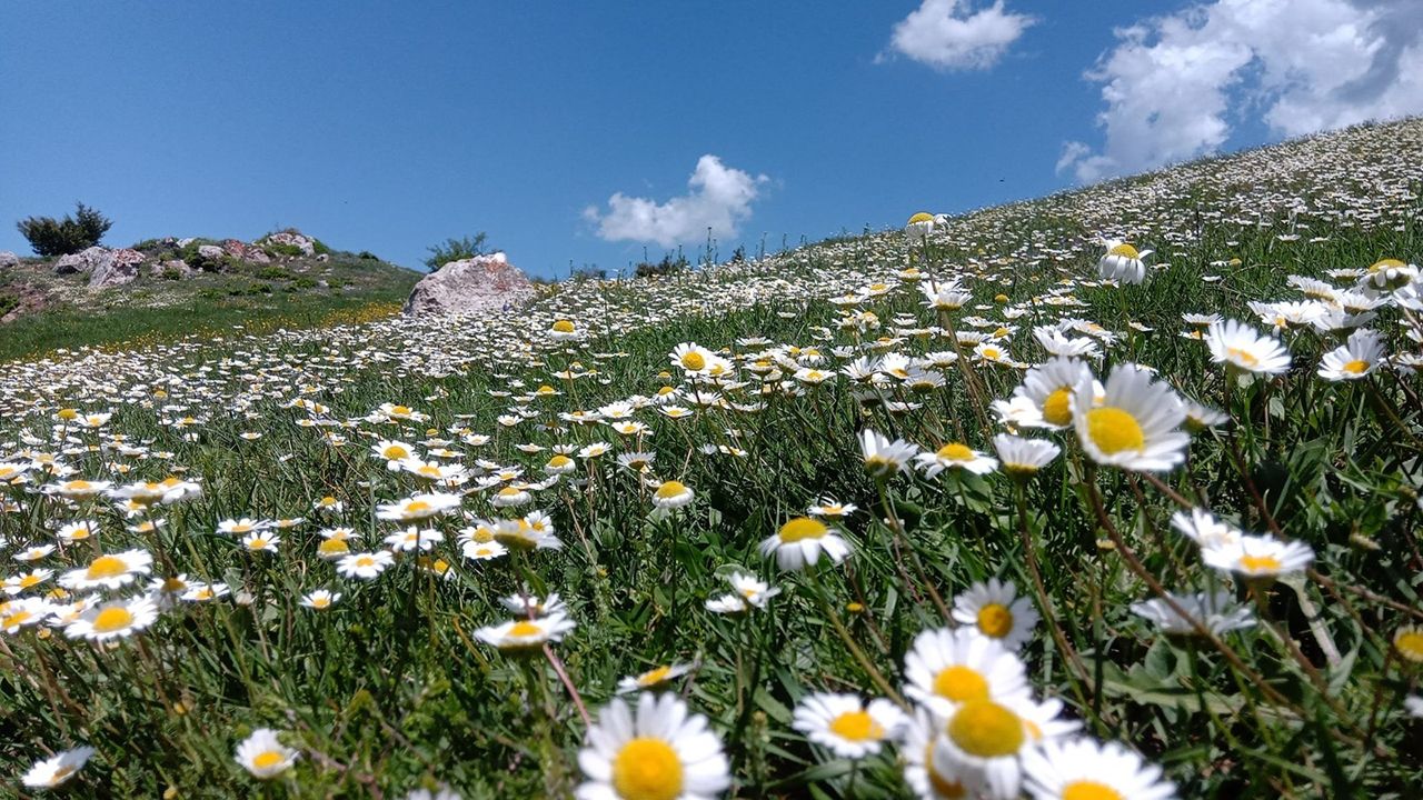 Cemre nedir, ne zaman düşer? İlk Cemre havaya düştü! Suya ve toprağa ne ...