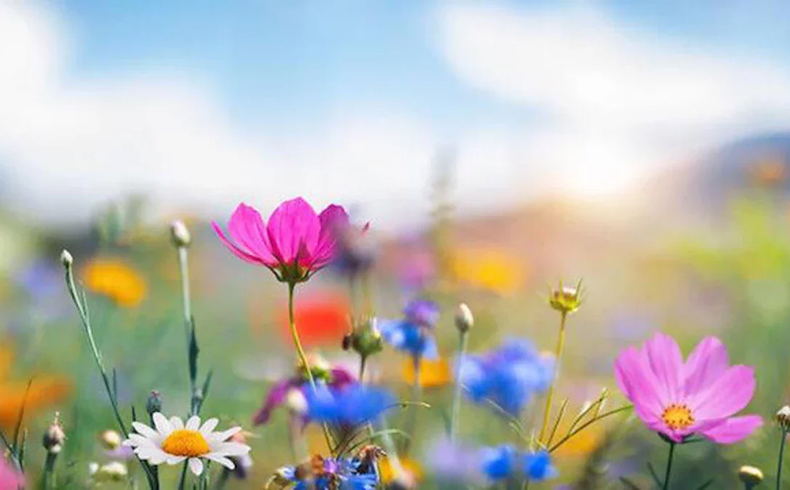 2025 Cemre düşme tarihleri: İlk Cemre ne zaman, nereye düşecek? Havaya ...